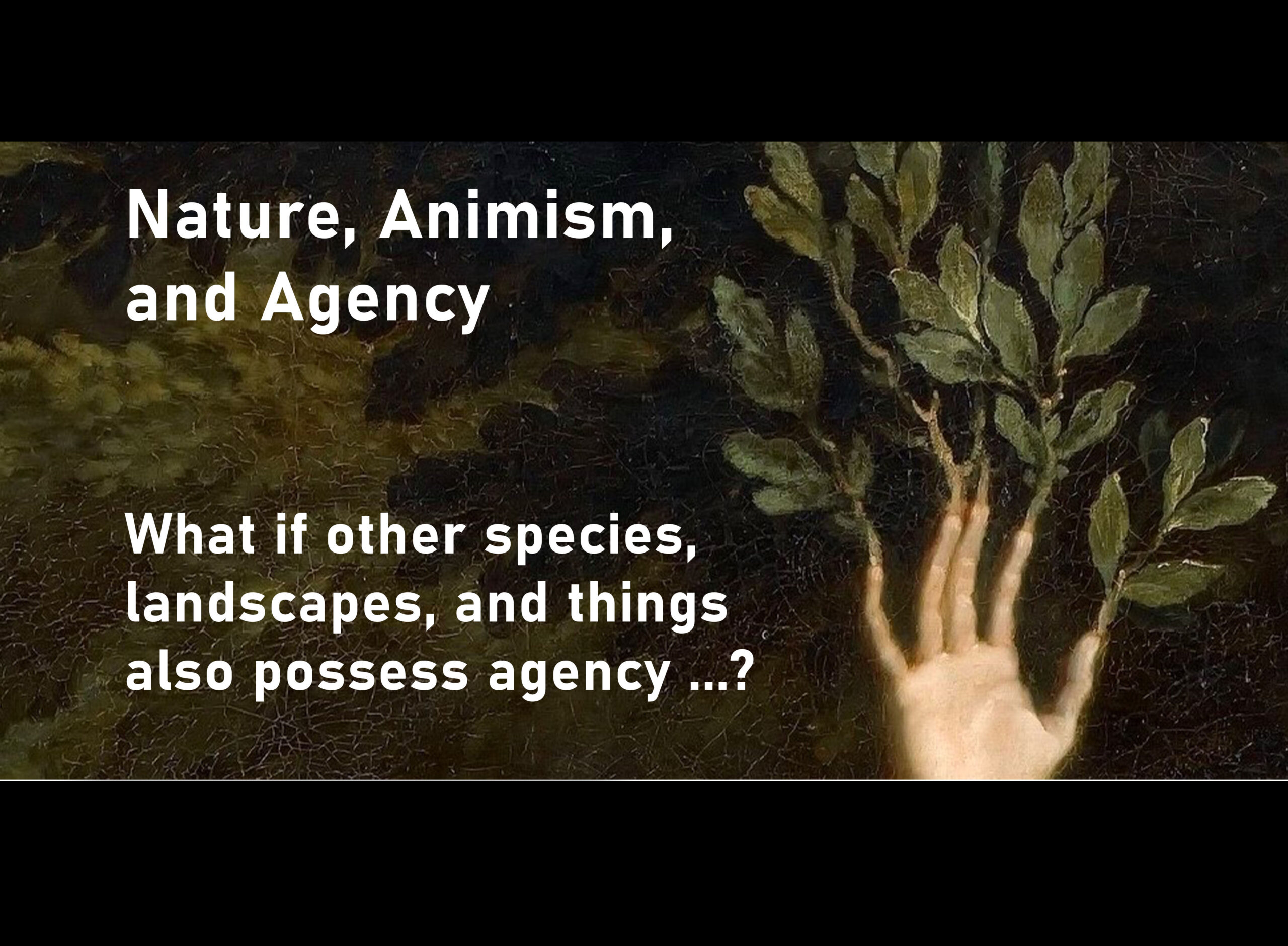 Nature, Animisme, and Agency. By Rune Engelbreth Larsen